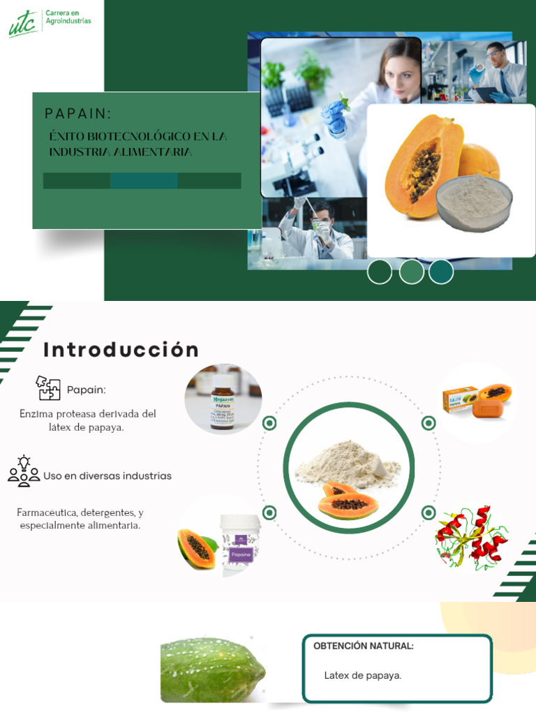 Diapi | PDF | Biología | Ciencias de la vida