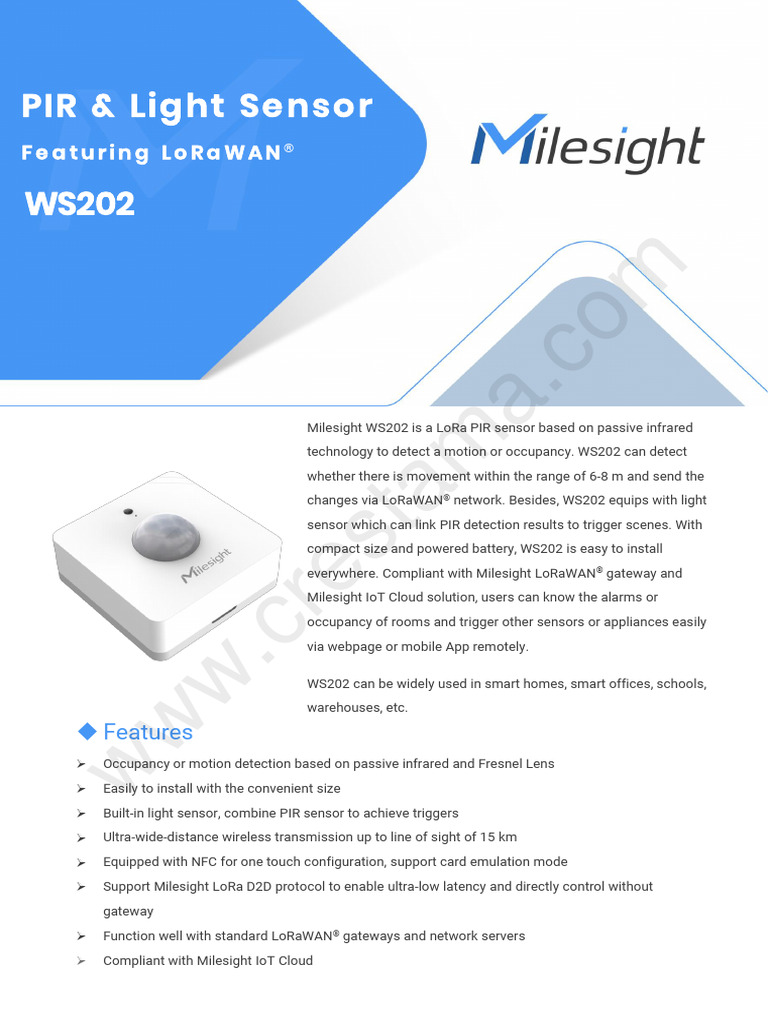 WS202 Datasheet | Download Free PDF | Computer Engineering | Computing