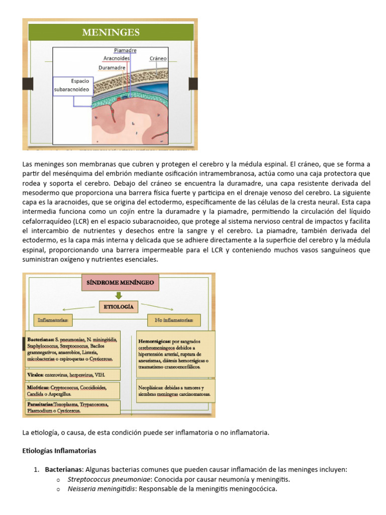 MENINGES | PDF | Meningitis | Inflamación