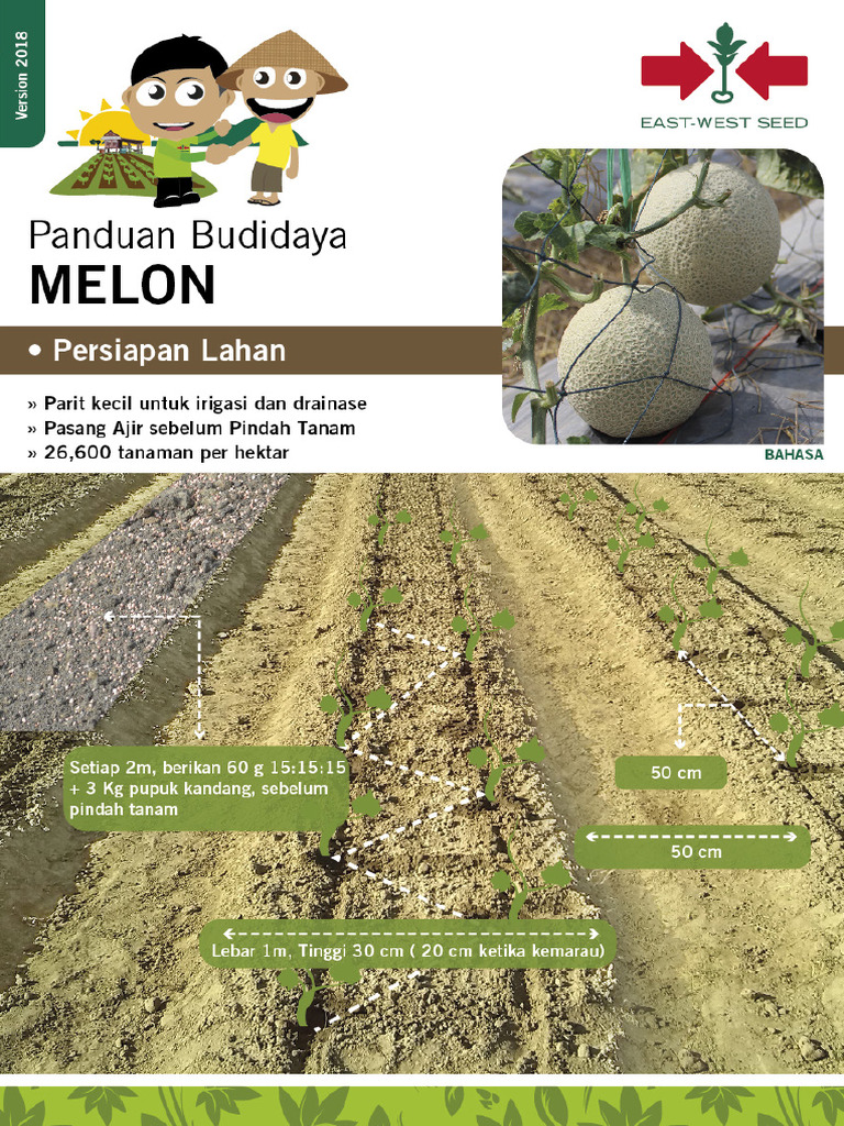 Melon | PDF