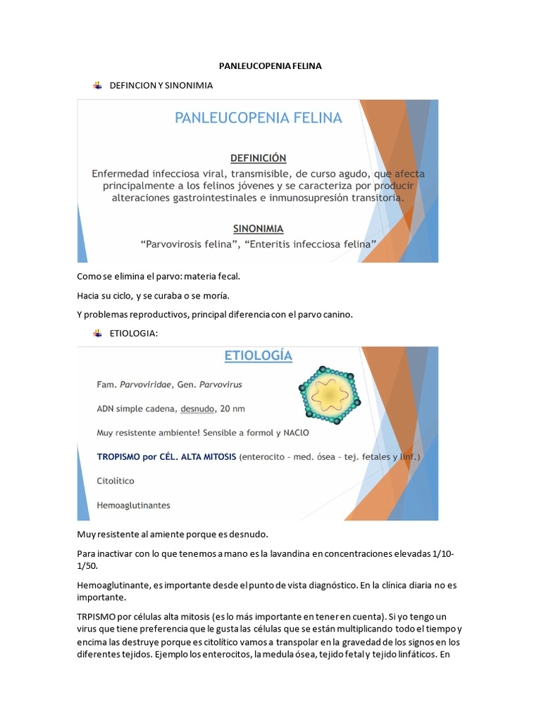 Panleucopenia Felina | PDF | Sistema inmune | Virus