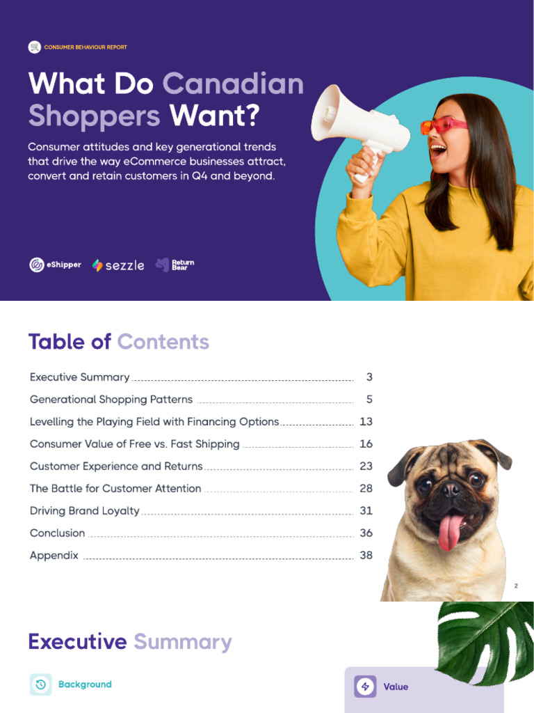 Consumer Behaviour Report Q4 2023 | PDF | Consumer Behaviour | E Commerce
