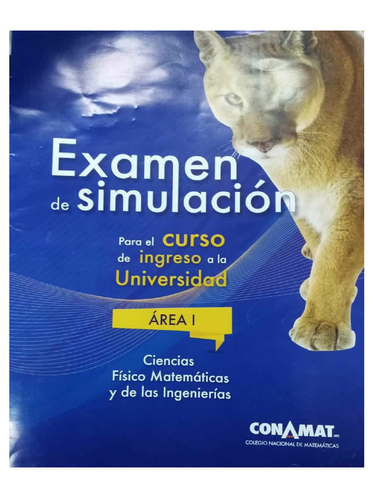 Simulacion CONAMATArea 1 | PDF