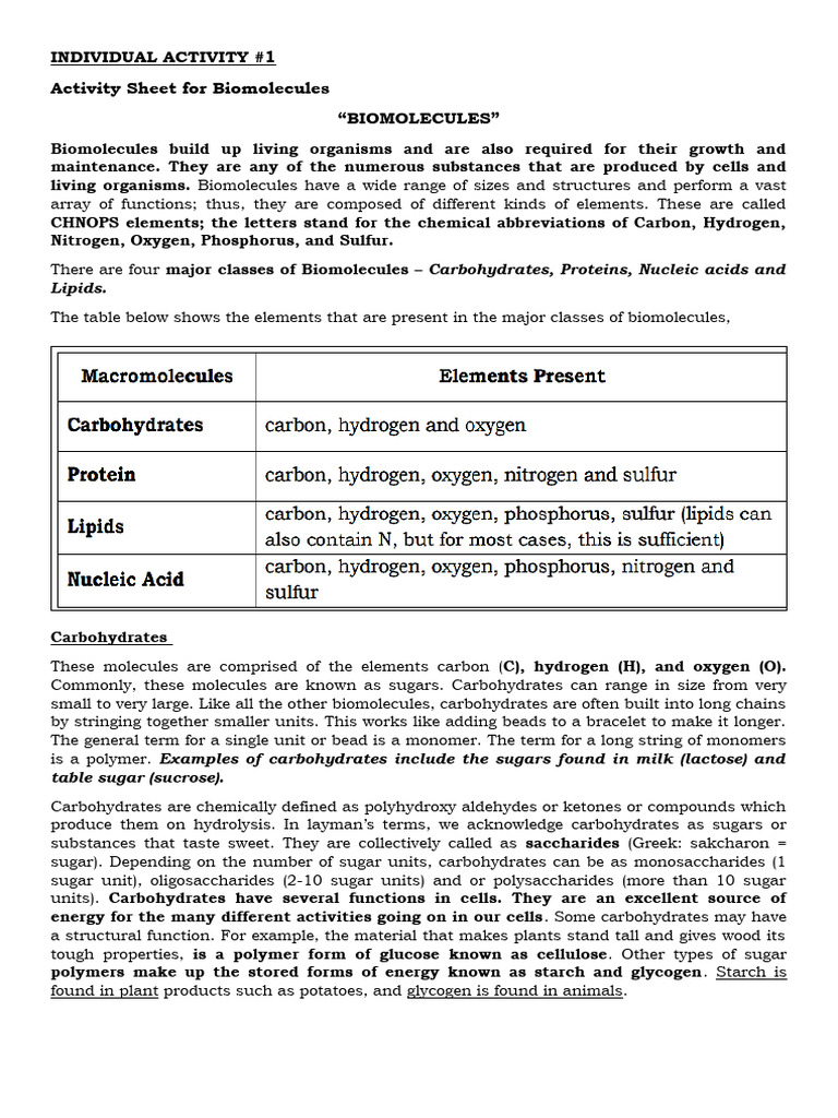 Individual Activity 1 Biomolecules | PDF | Carbohydrates | Nucleic Acids