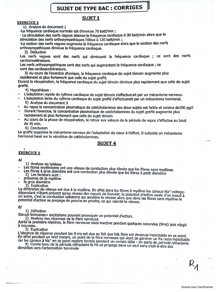 CORRIGE SUJET TYPE BAC | PDF