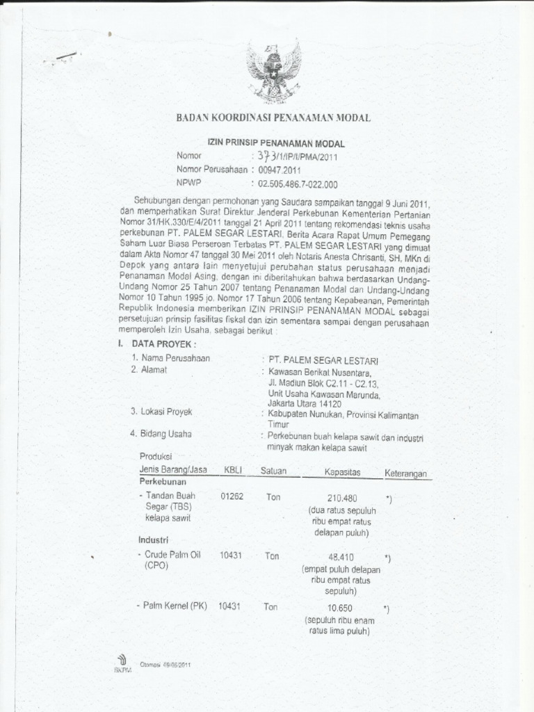 Ip BKPM NPWP Domisili Palem | PDF