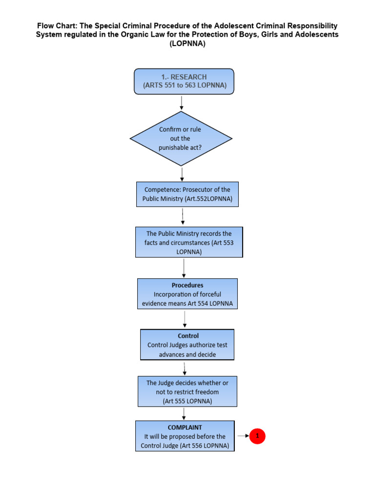 Flowchart | PDF | Prosecutor | Criminal Procedure In South Africa