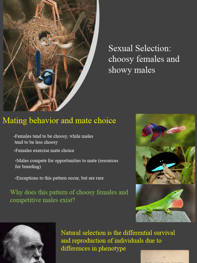 Module5 PPT13 | PDF | Sexual Selection | Natural Selection