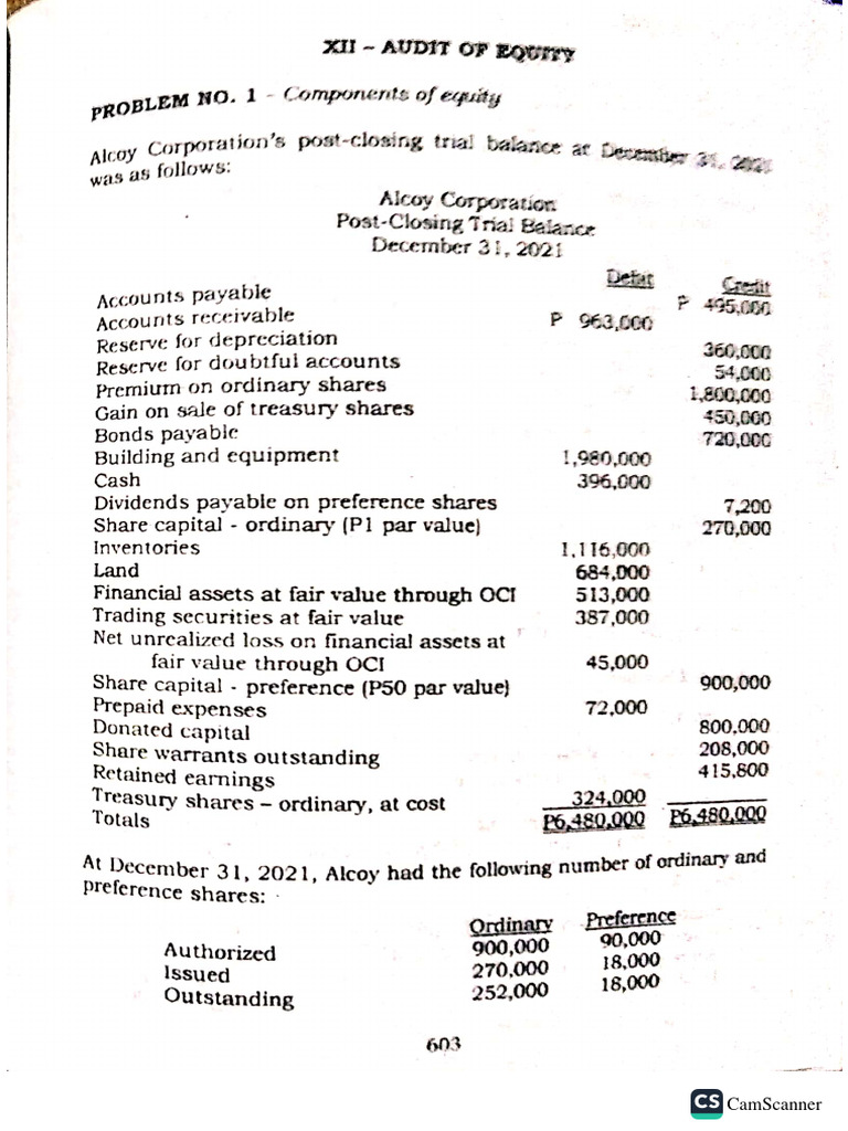 EQUITY Auditing Problems by Ocampo 2021 | PDF