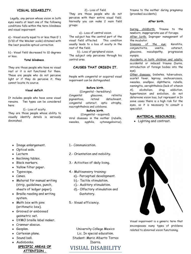 Visual Impairment Triptych | PDF | Visual Impairment | Visual Acuity
