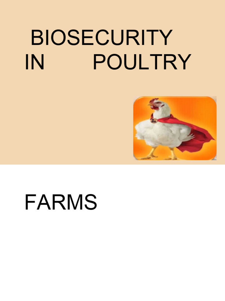 Biosecurity in Poultry Farms | PDF | Disinfectant