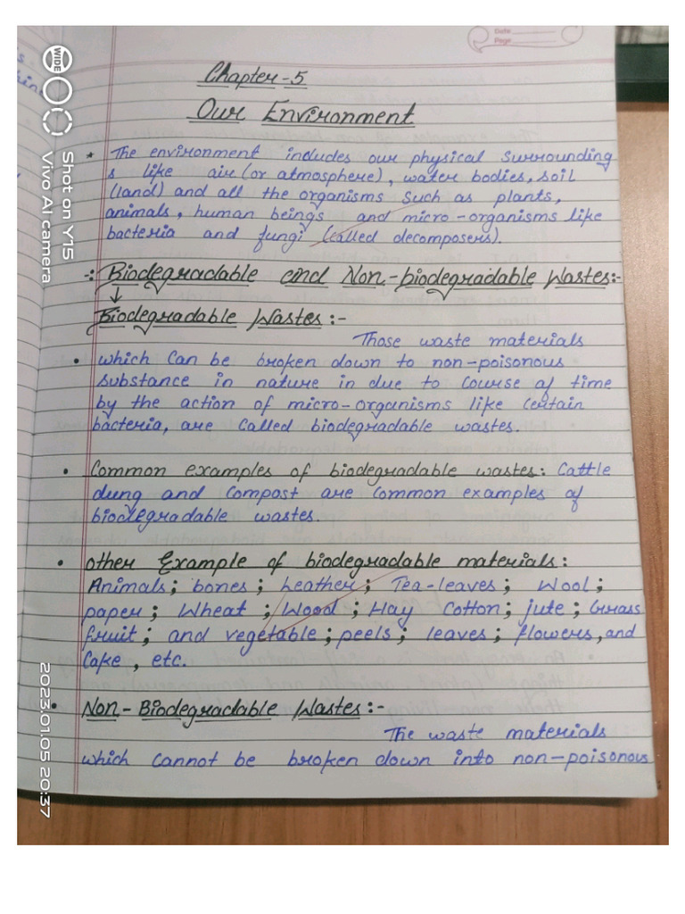 Class 10 Bio Our Environment | PDF