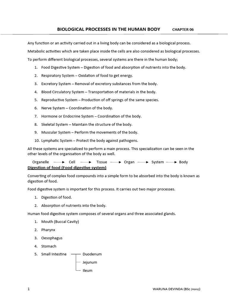 Biological Processes in The Human Body | PDF | Heart | Heart Valve