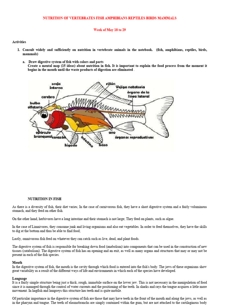 Nutrition of Vertebrates Fish Amphibians Reptiles Birds Mammals | PDF ...