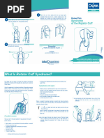 Rotator Cuff and Shoulder Conditioning Program - OrthoInfo - AAOS | PDF ...