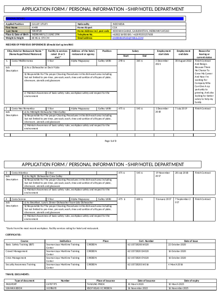 CV Application Form - Amir Mahfud | PDF | Dishwasher