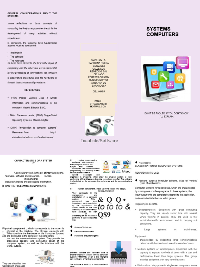 Information Systems Triptych | PDF | System | Computer Hardware