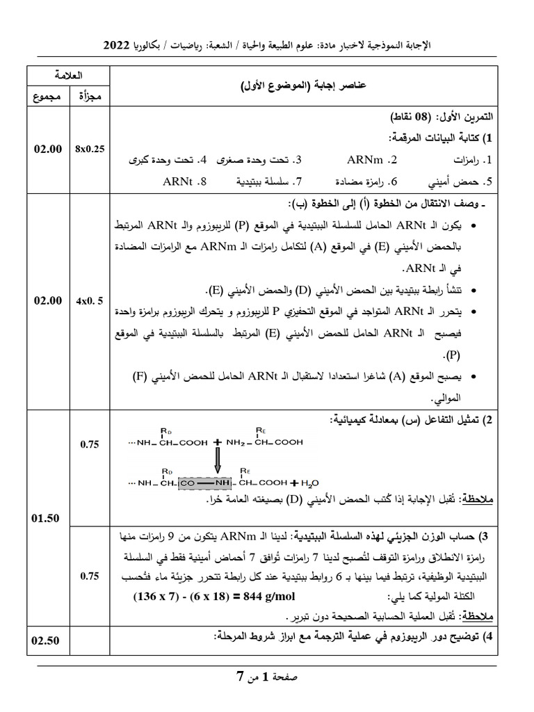 Bac2022 Sciences m Correction | PDF