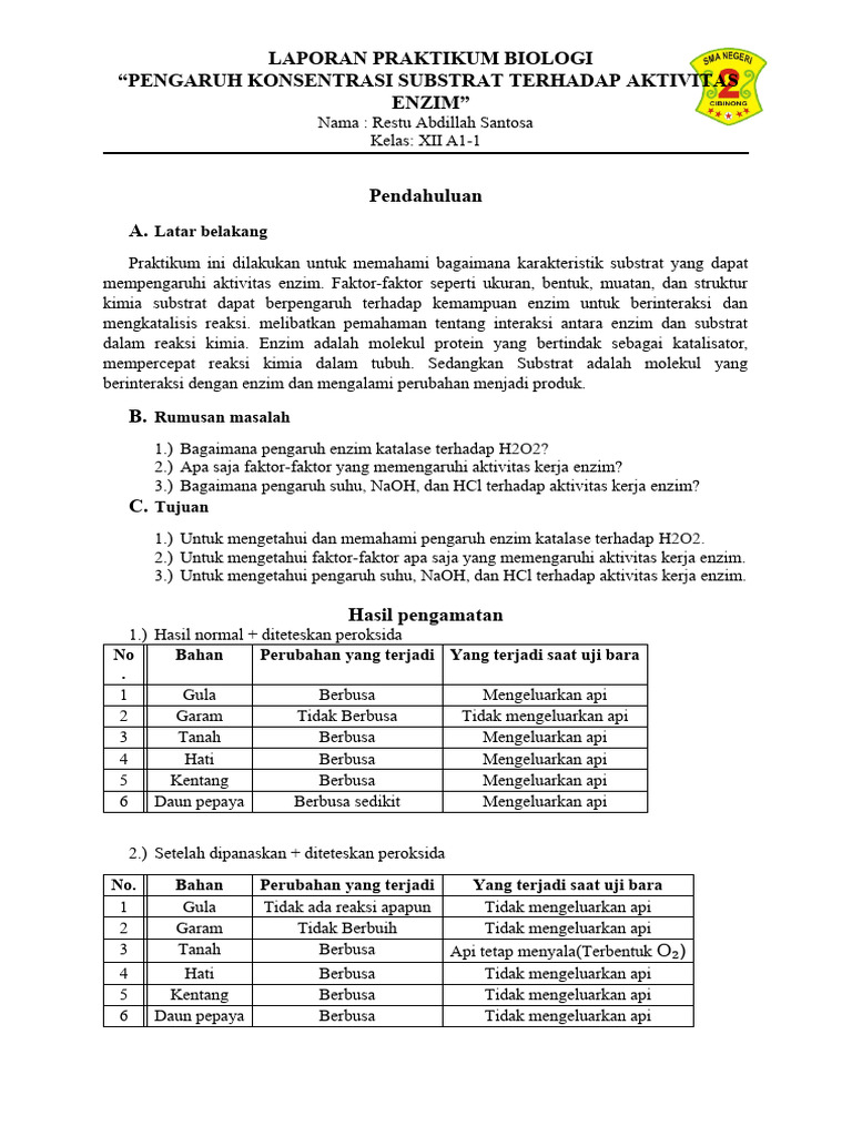 Biologi Laporan Enzim | PDF