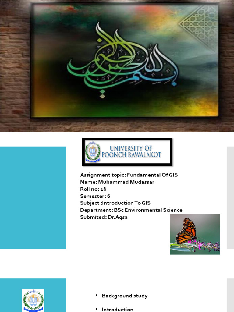 Fundamentals of GIS | PDF | Geographic Information System | Geography