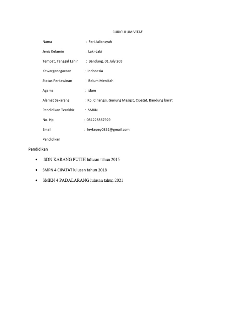 Curiculum Vitae Feri (1mb) | PDF