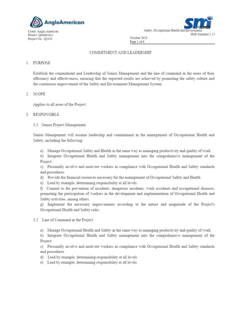 HSE Leadership Commitment in Mining Safety | PDF | Occupational Safety ...