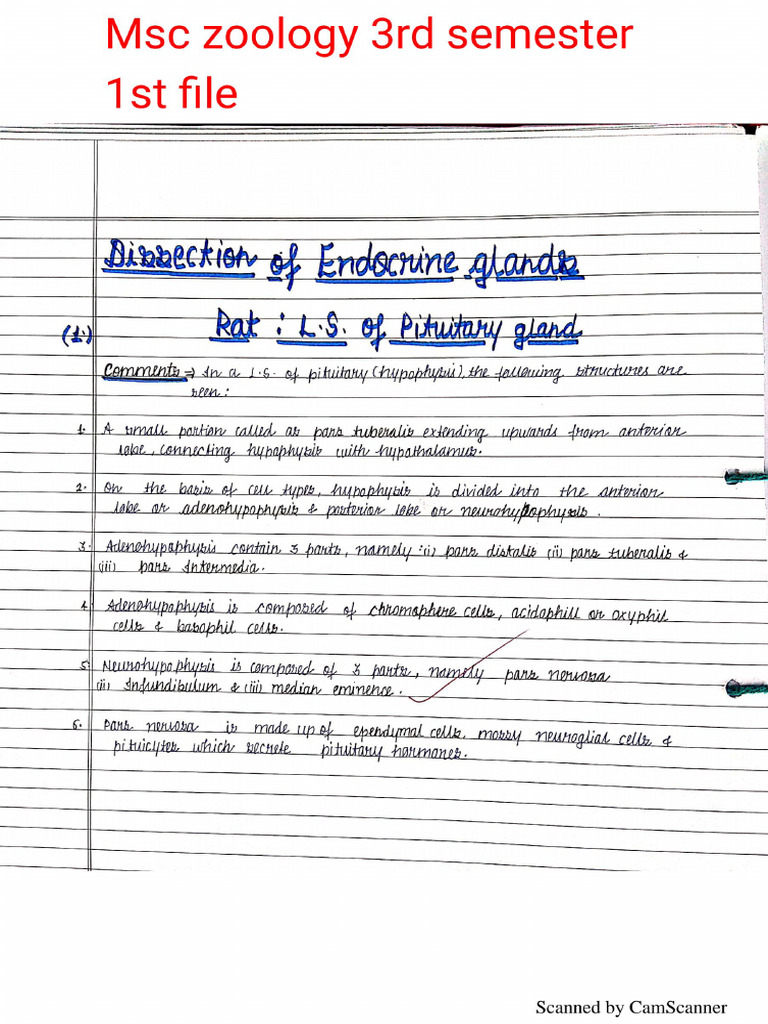 MSC 3rd Semester - Zoology (File-1) | PDF
