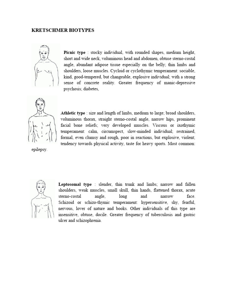 Kretschmer Biotypes | PDF | Skeletal Muscle | Dieting