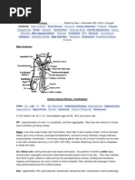 Gibson Incision | PDF