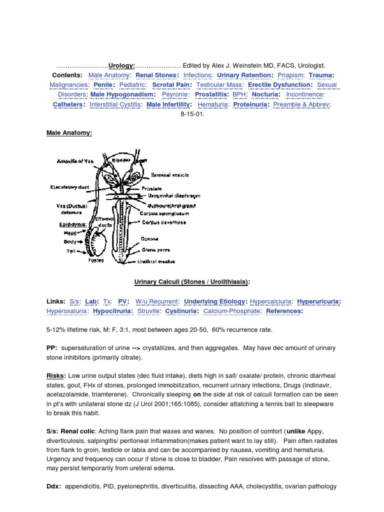 Clinical Urology | PDF | Urinary Tract Infection | Urinary Incontinence