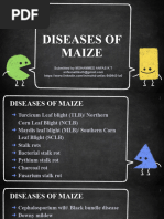 Walk Thru Inspection Template | PDF | Pest Control | Pest (Organism)