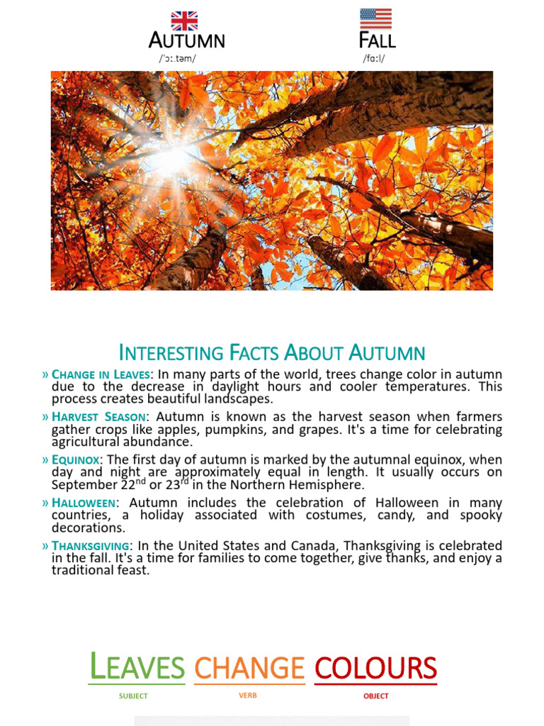Autumn | PDF | Autumn | Seasons
