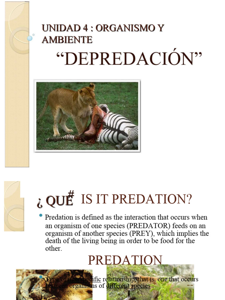 PREDATION | PDF | Predation | Symbiosis