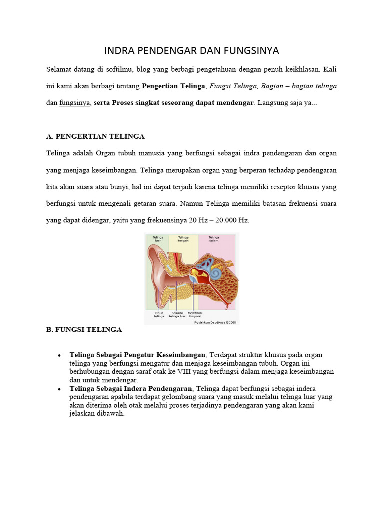 Indra Pendengar Dan Fungsinya | PDF