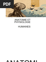 Cours de Physiologie Humaine | PDF | Cellule (Biologie) | Physiologie