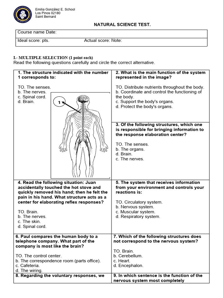 Test Natural Sciences Nervous System PDF | PDF | Brain | Nervous System