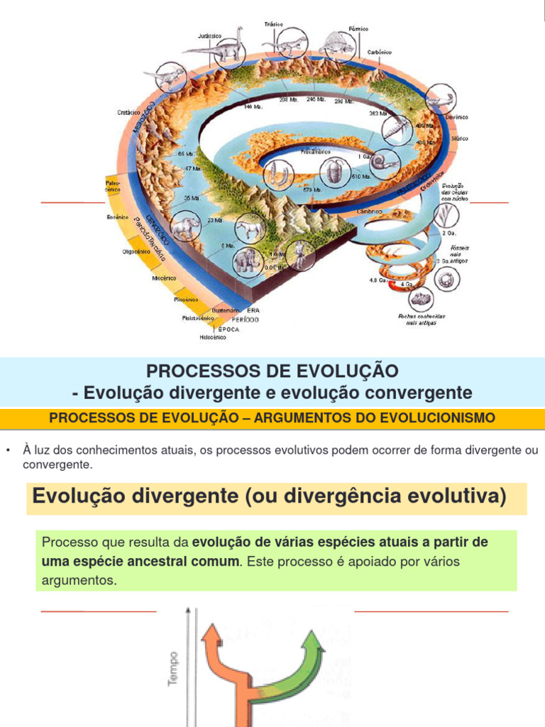 2 - Processos de Evolução - Evolução Divergente e Convergente ...