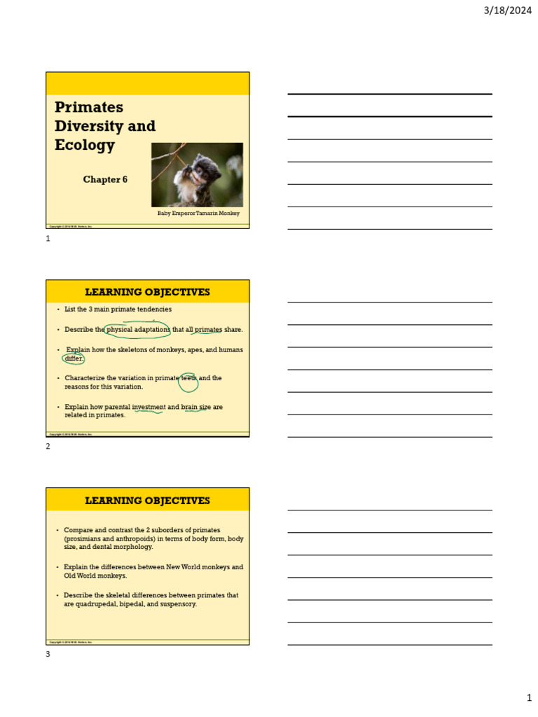 CH 06 - Primates Diversity and Ecology - Note Taking File | PDF | Ape ...