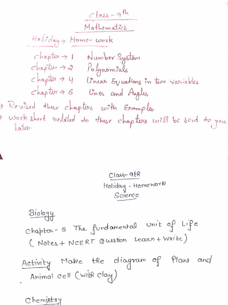 Class 9th Holidays Homework 2024-25 | PDF