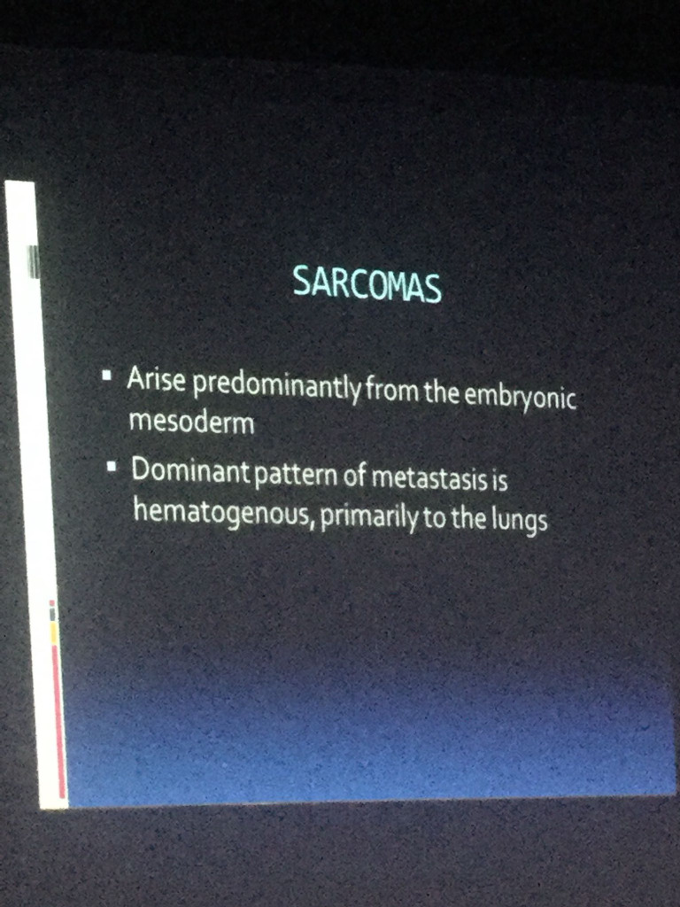 S2B Soft Tissue Sarcomas | PDF