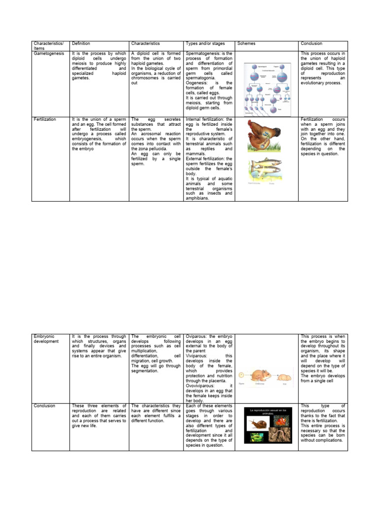 Biology Double Entry Table | PDF | Ploidy | Fertilisation