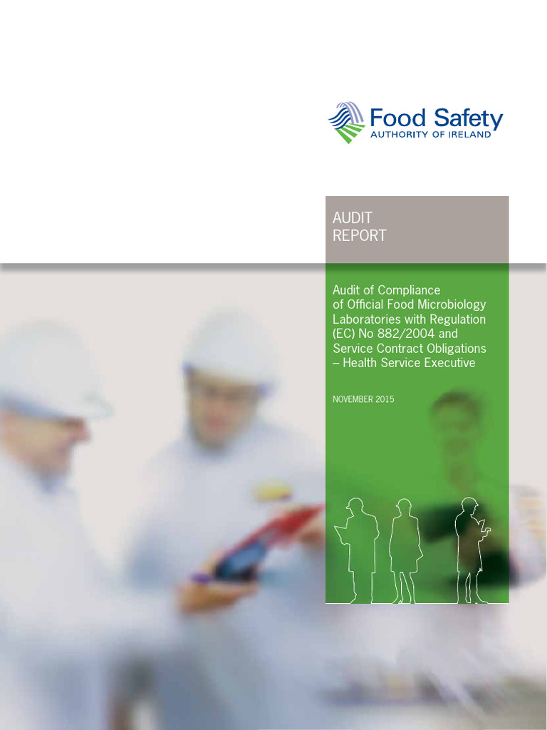 Audit Report Example Ireland | PDF | Audit | Food Safety