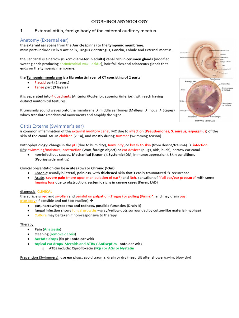 ORL - Final | PDF | Ear | Vertigo