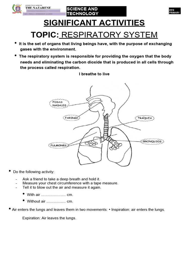 Topic Respiratory System PDF | PDF | Respiratory System | Breathing