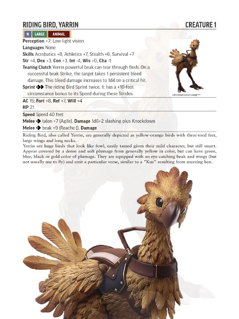 riding_bird__yarrin-1719104991 | PDF