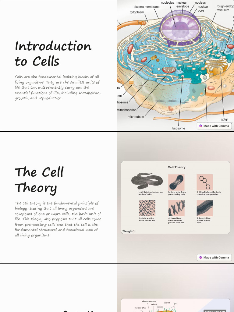 Introduction To Cells | PDF | Cell (Biology) | Organelle