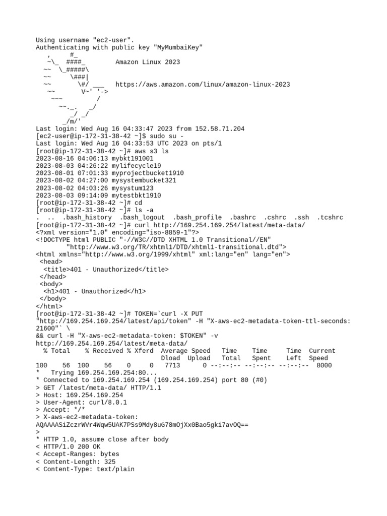 AWS EC2 Metadata Retrieval Guide | PDF | Communications Protocols | Internet Protocols