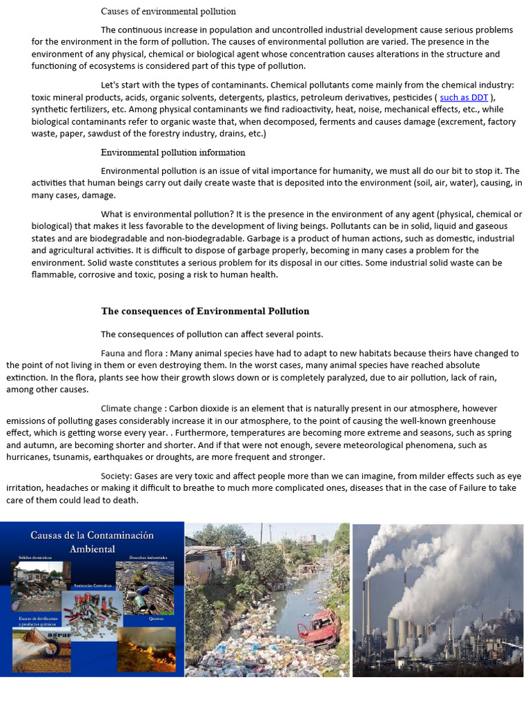 Causes of Environmental Pollution | PDF | Pollution | Natural Environment