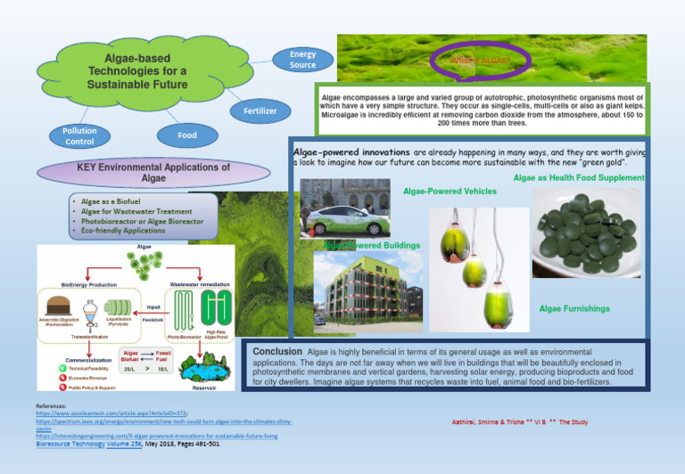 Algae | Download Free PDF | Algae | Algae Fuel