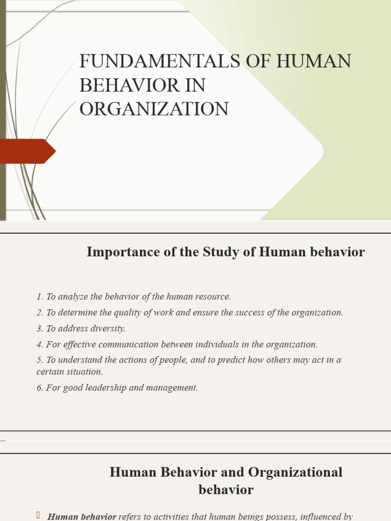 Human Behavior in Organizations Explained | PDF | Human Behavior | Behavior